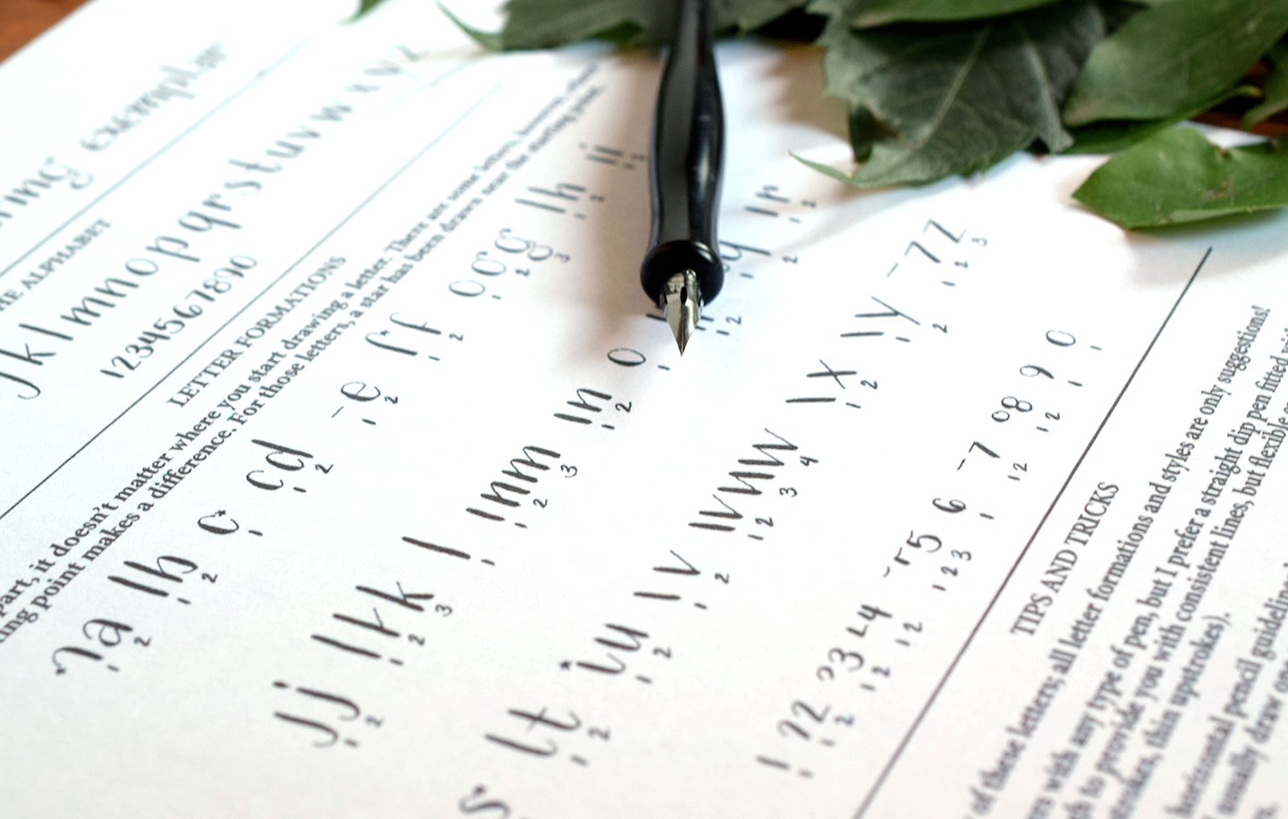 Free Basic Hand-Lettering Exemplar {Morgan Style} | The Postman's Knock