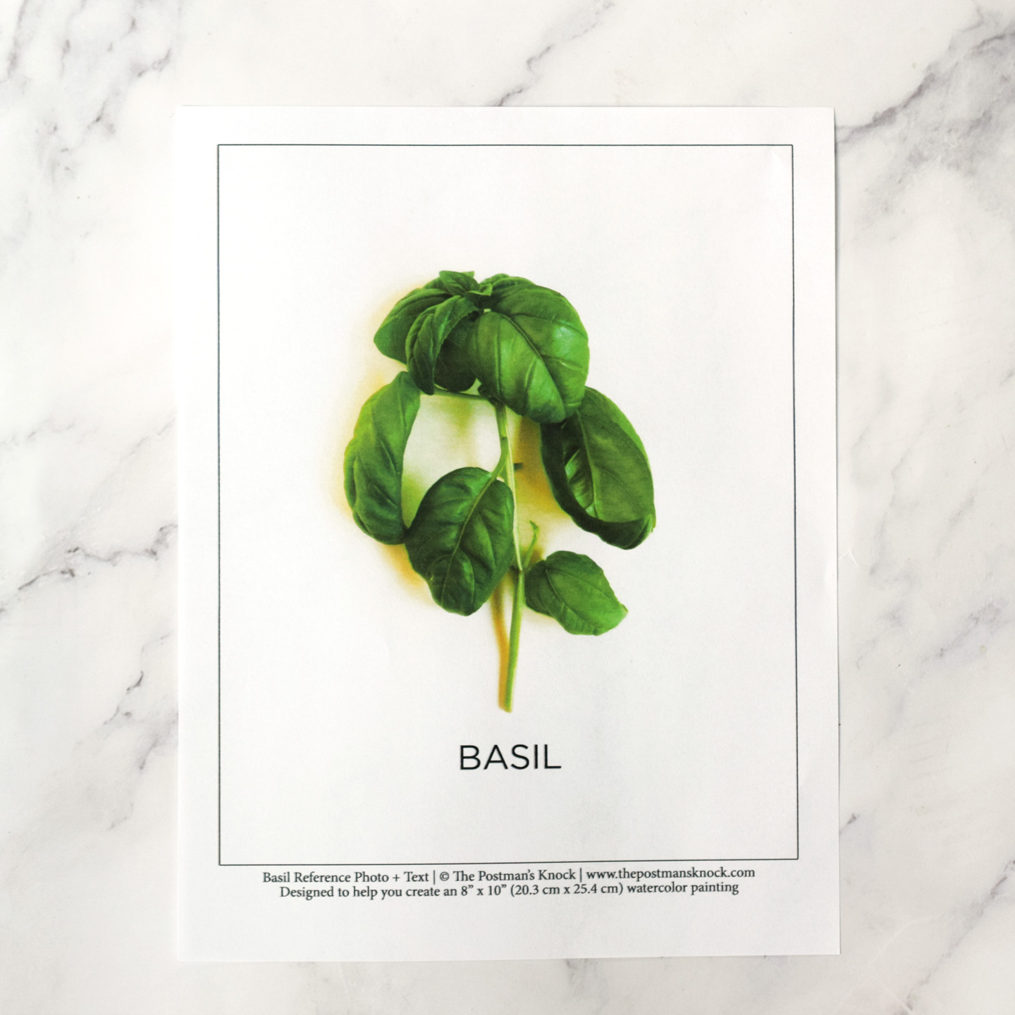 Reference Photo for Watercolor Basil Painting – The Postman's Knock