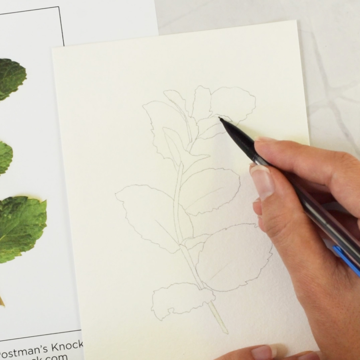 Lesson 1: Making a Pencil Draft (6:21) – The Postman's Knock