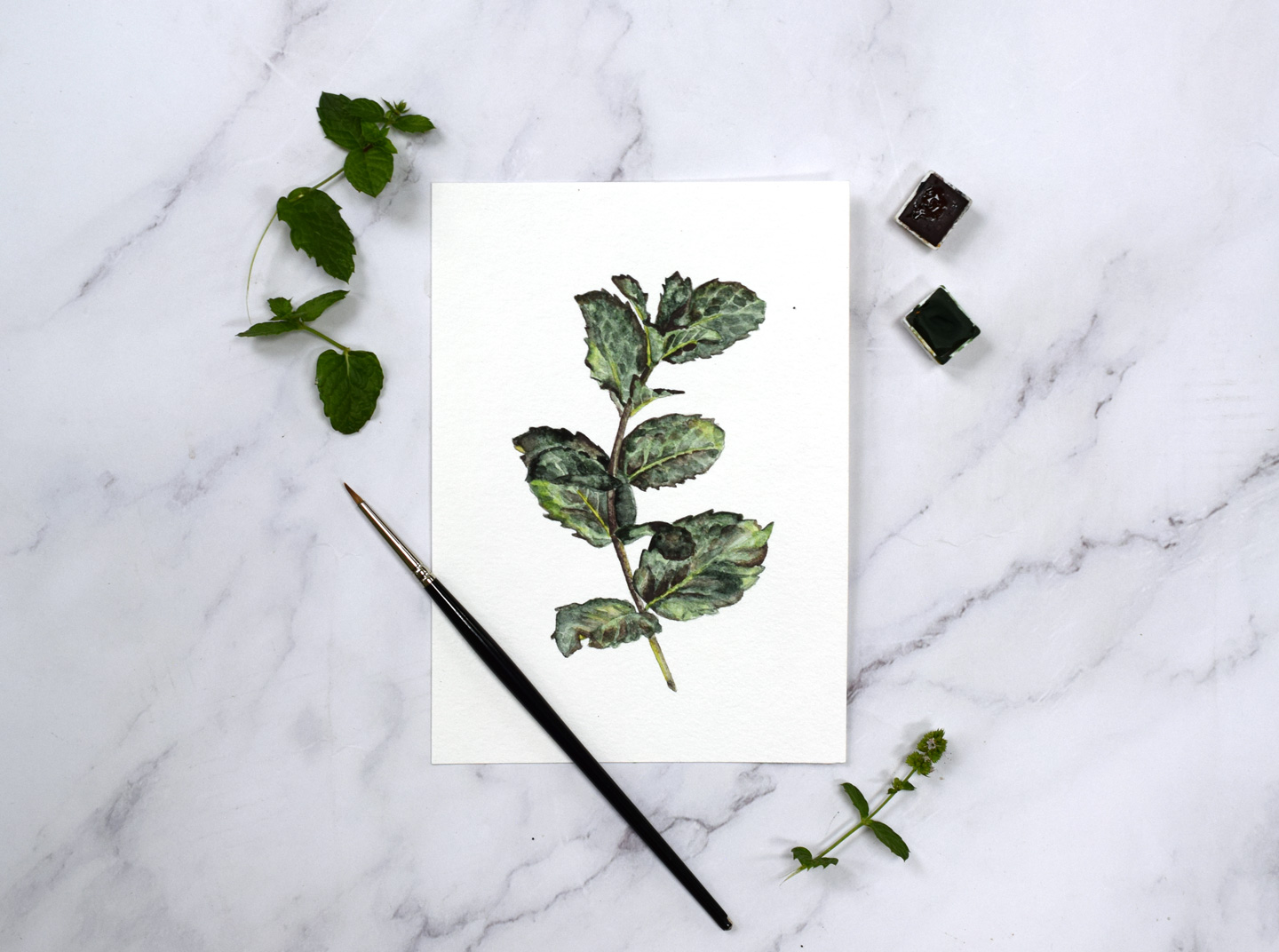 How to Paint Watercolor Mint (Premium Tutorial) – The Postman’s Knock